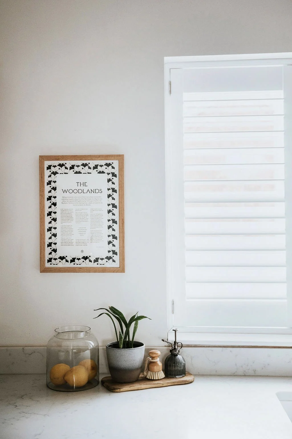 House History Packages | PURSUING THE PAST