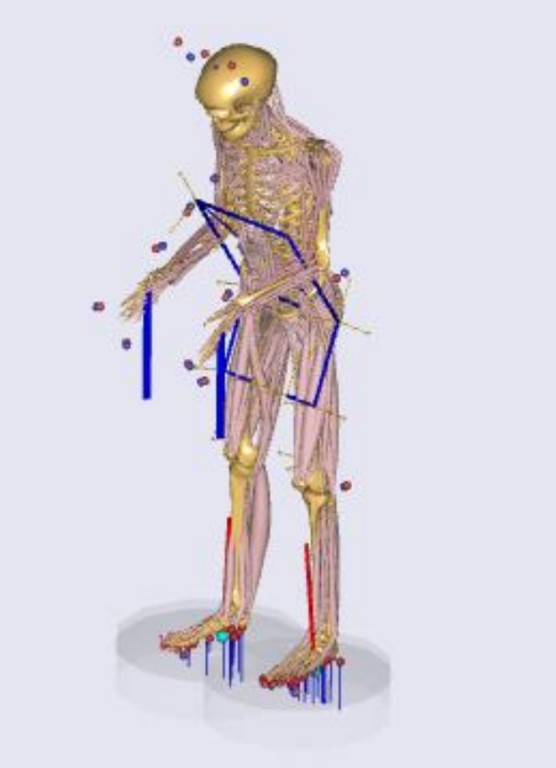 Learning Center — Laevo Exoskeletons