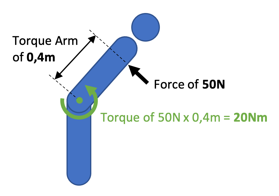 Introduction to Torque Curves — Laevo Exoskeletons