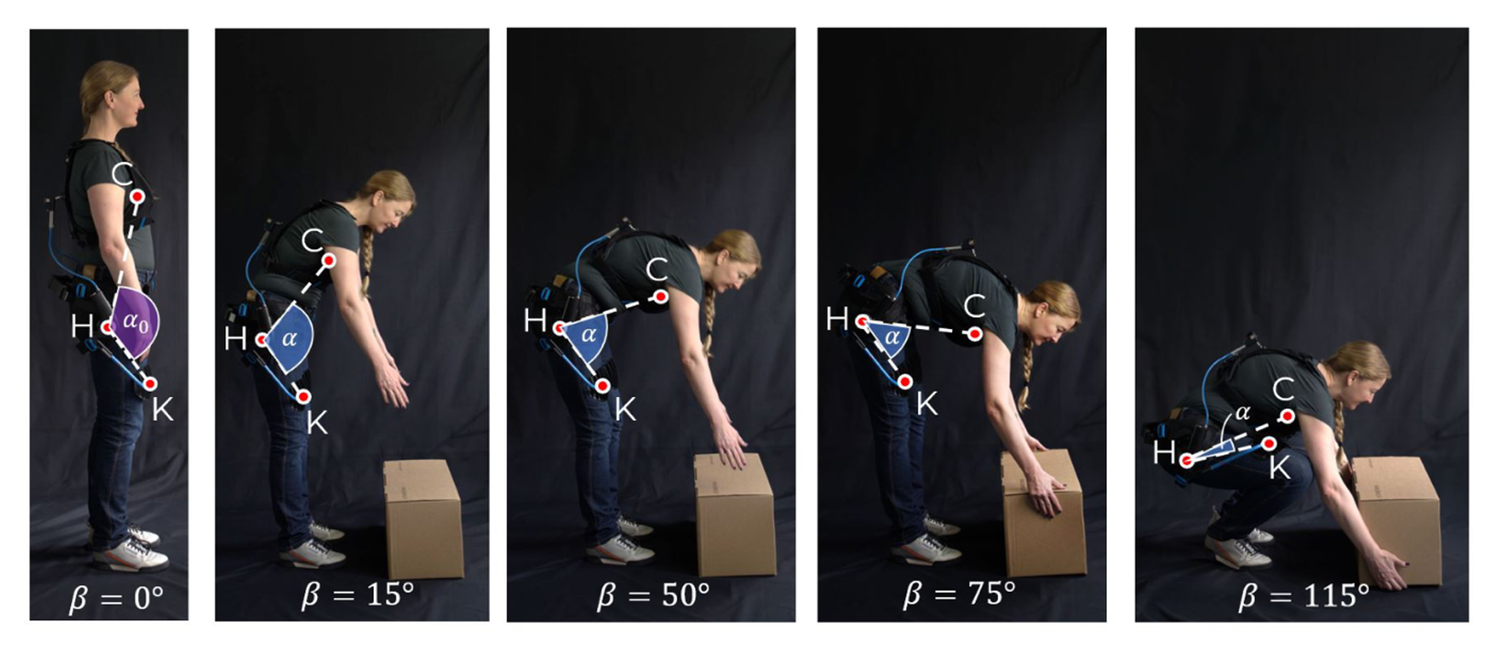 Introduction to Torque Curves — Laevo Exoskeletons