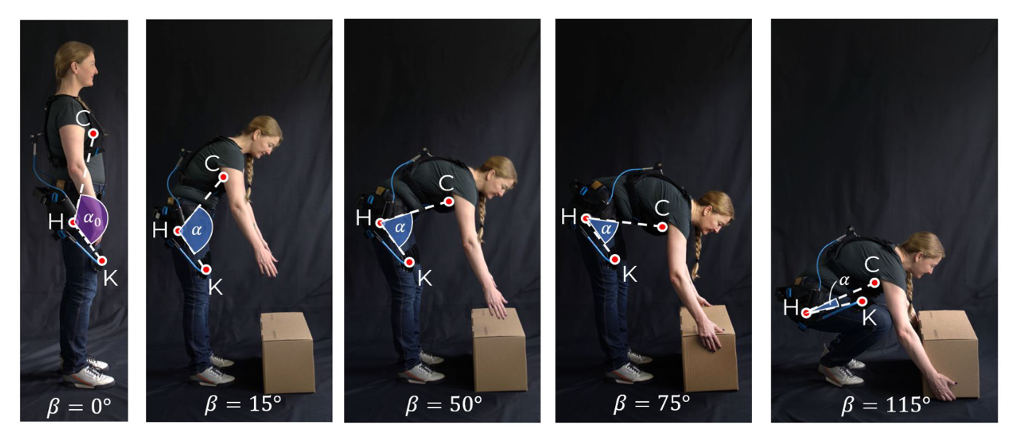 Introduction to Torque Curves — Laevo Exoskeletons