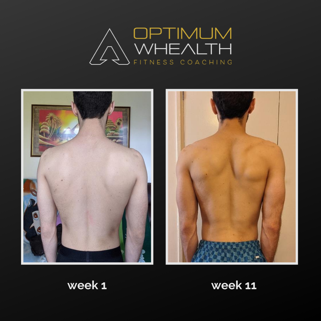 Optimum Whealth - Limitless Lifestyle Program
