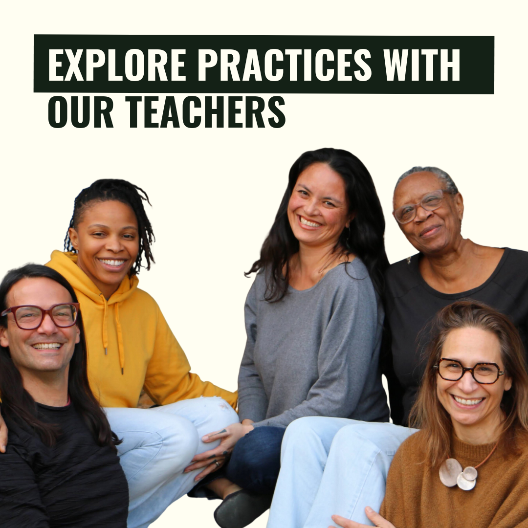 The Embodiment Institute