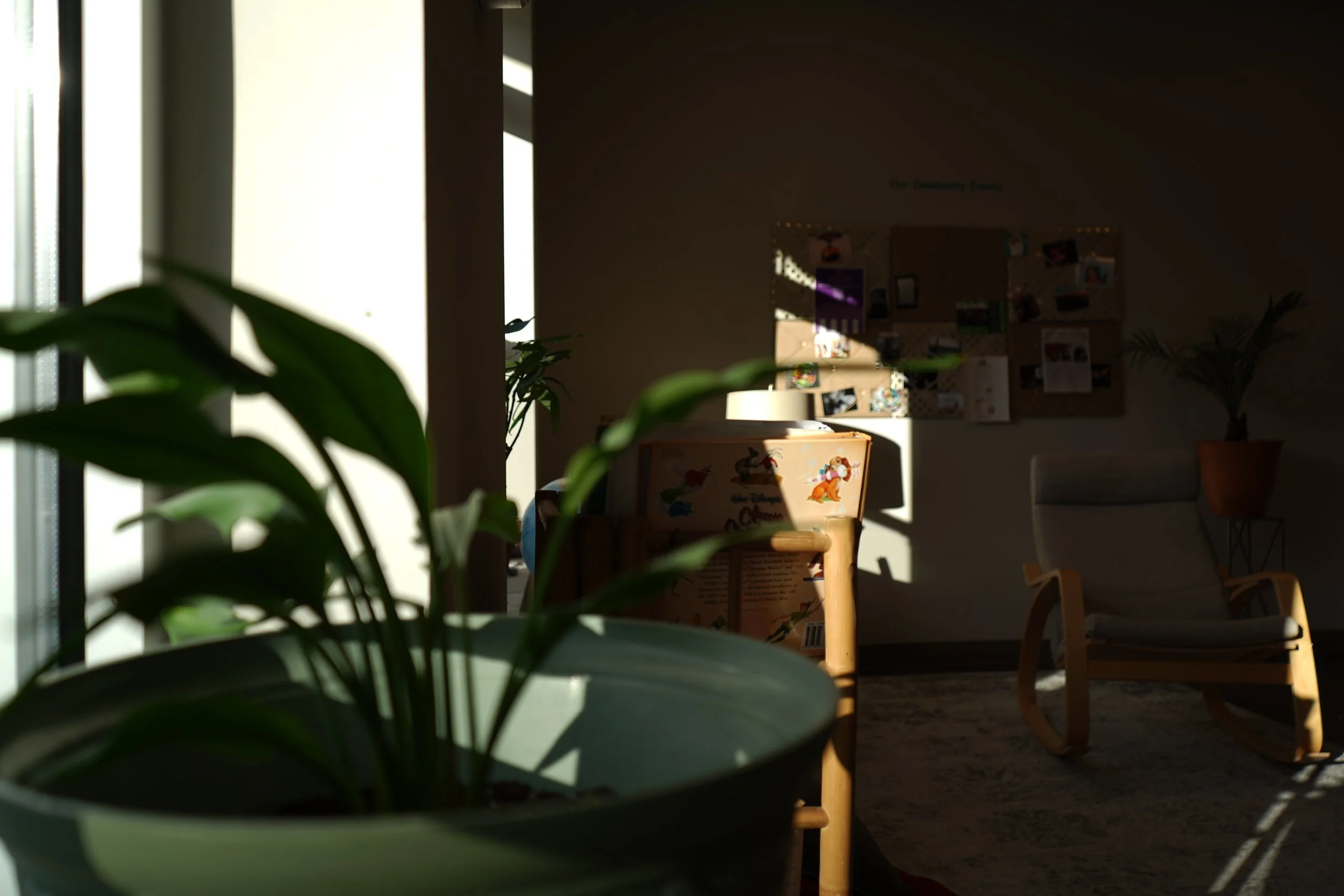 About Integrative Wellness Services