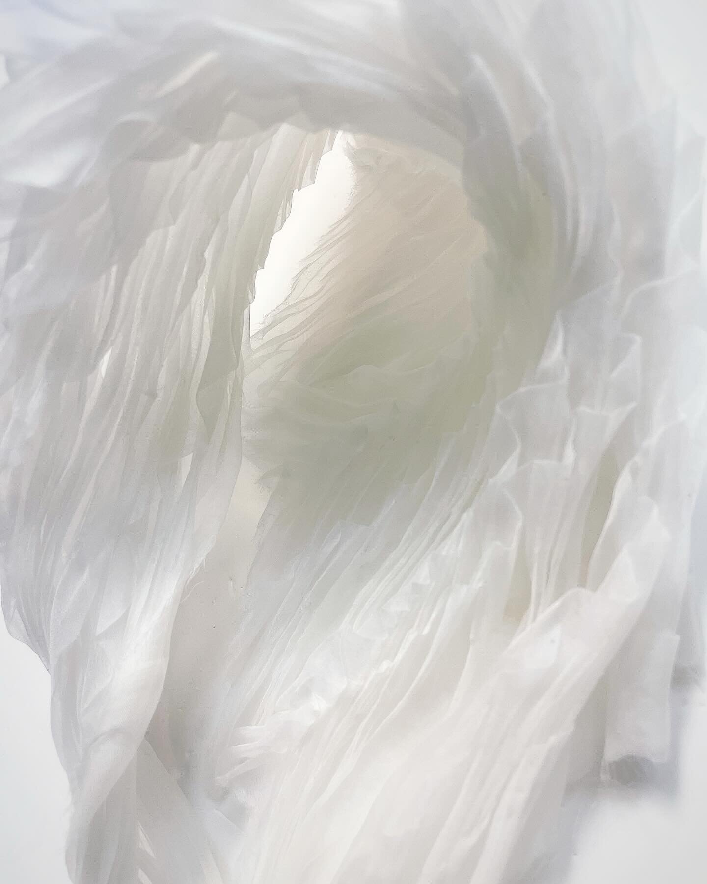 Liz Oliver Studio