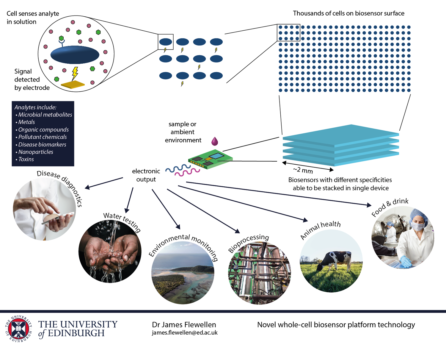 Innovative biotech project moves closer to spinning out its novel biosensing technology — IBioIC