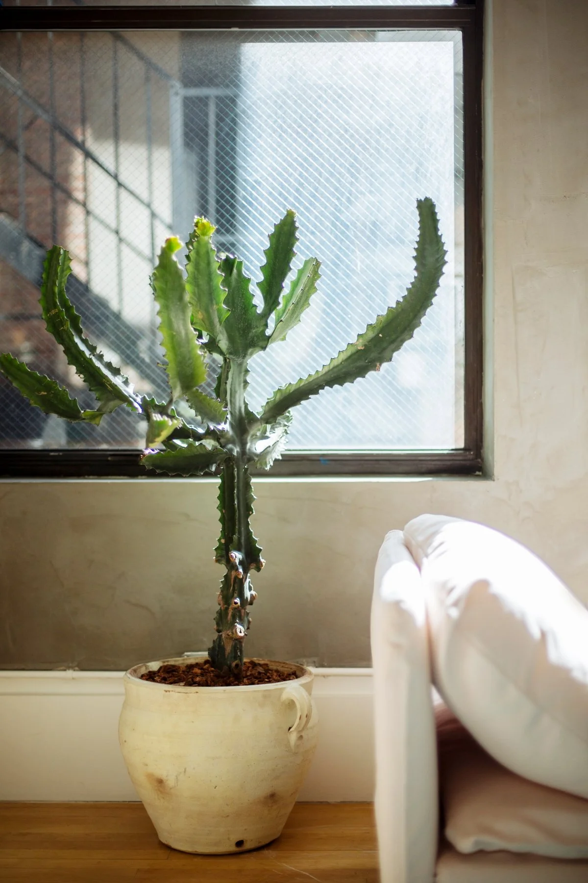 Mammoth Projects | Interior Renovations NYC