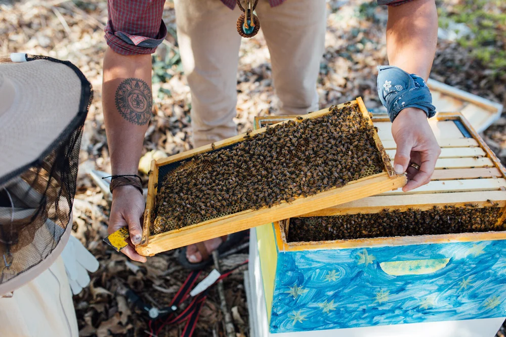 Buddha Bee Apiary