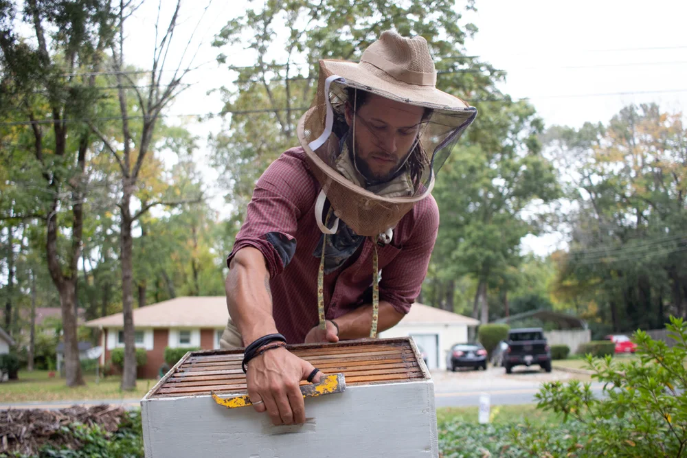 Beekeeping Jobs in North Carolina — Buddha Bee Apiary