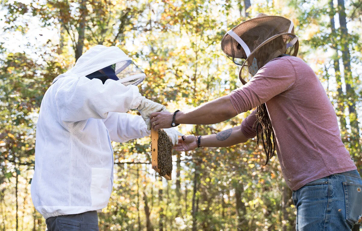 How Much Space to Keep Bees? 5 Factors to Consider — Buddha Bee Apiary