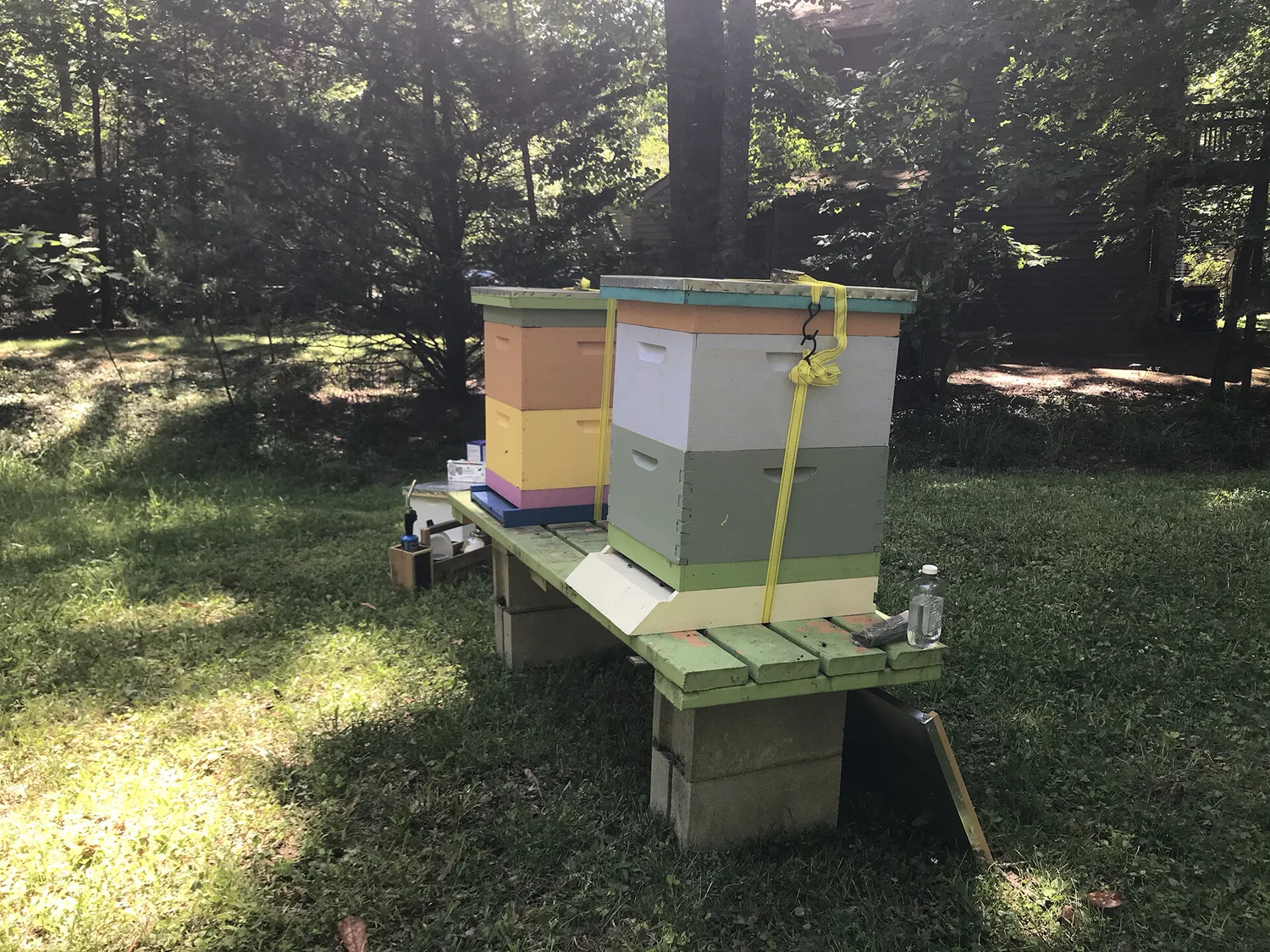 My Neighbor Has Bees, What’s This Mean For Me? — Buddha Bee Apiary