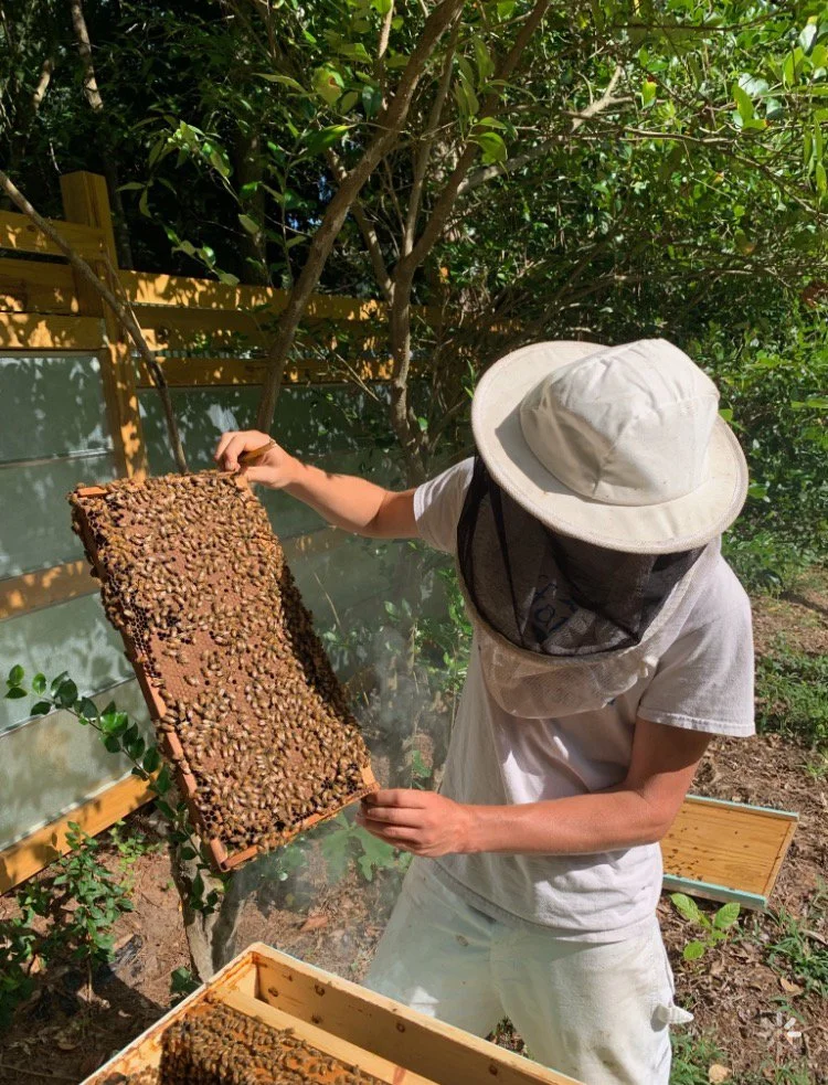 Buddha Bee Apiary Merch — Buddha Bee Apiary