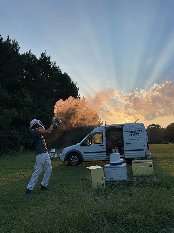 Buddha Bee Apiary | Support Pollinators Today — Get Started Now
