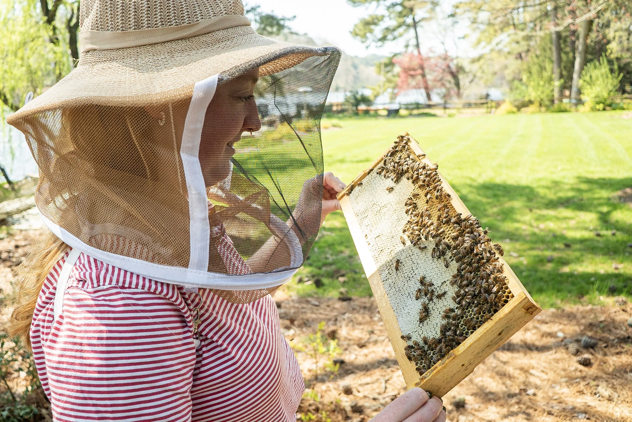 Beekeeping Jobs in North Carolina — Buddha Bee Apiary