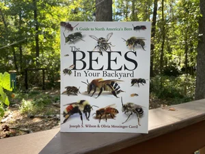 5 books worth reading if you love bees — Buddha Bee Apiary
