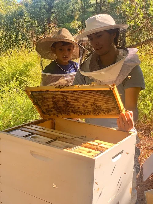 Buddha Bee Apiary | Support Pollinators Today — Get Started Now