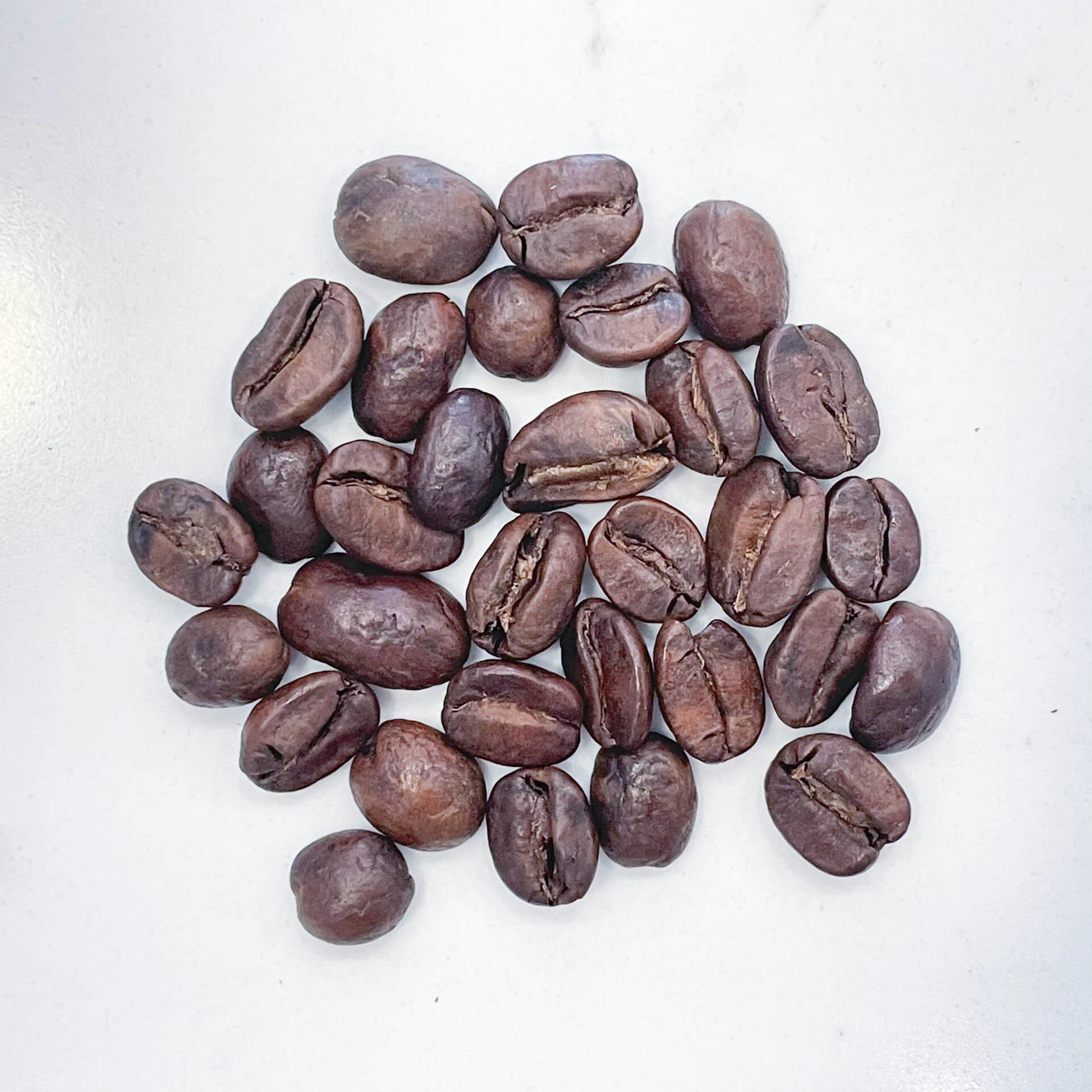 SHOP — Single V Coffee