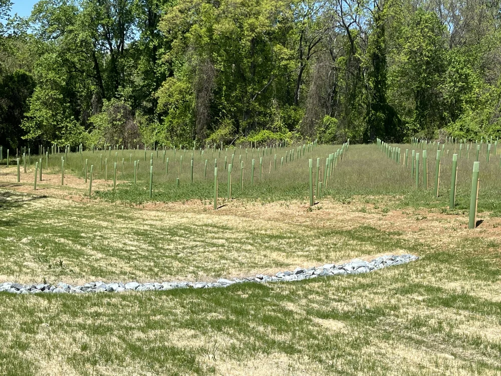 Grassed Waterway Project — Friends School of Harford at Falls Creek Farm