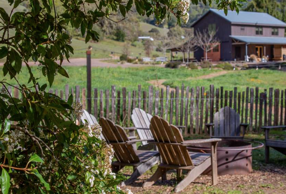Grounded and Spacious, Earth and Sky: A Women’s Mindfulness Retreat in ...