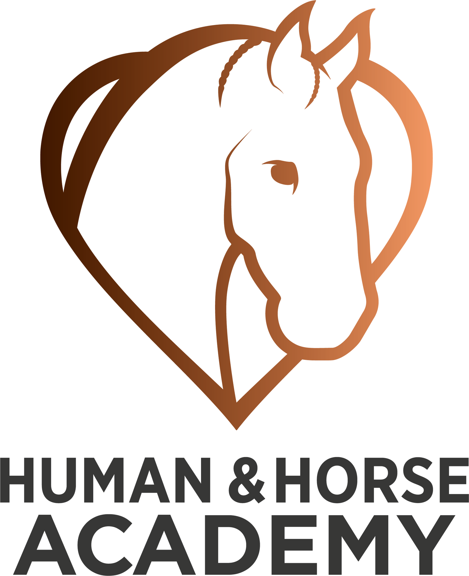 Welkom bij Human & Horse Academy en Hotel.