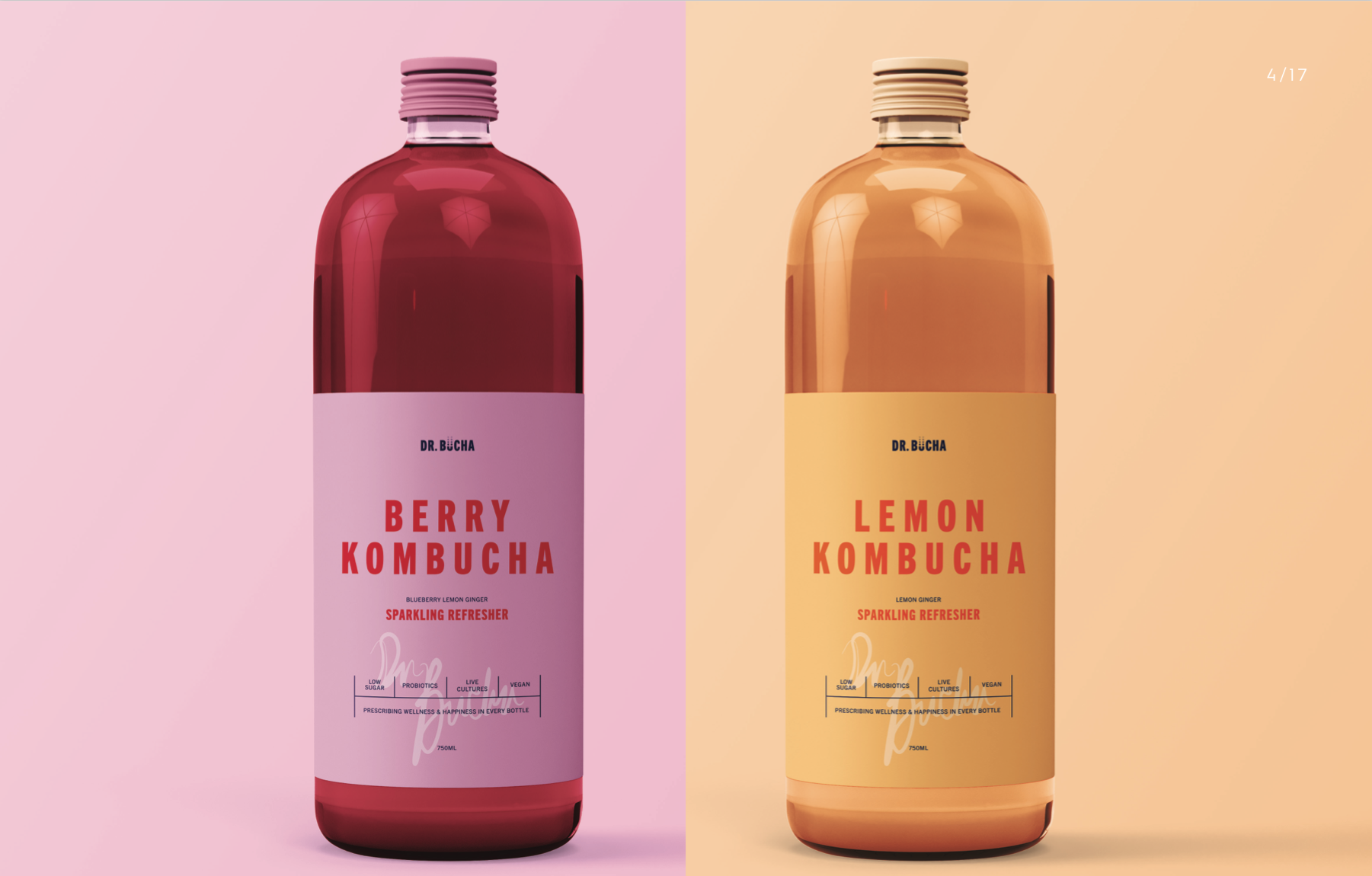 Dr Bucha Kombucha & Living Drinks Brewery