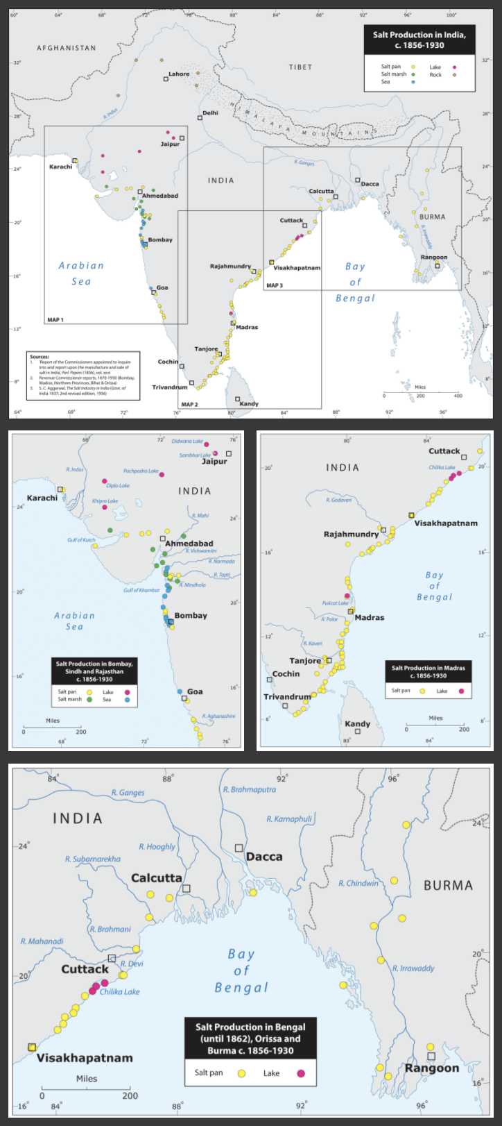 Gandhi Salt March Map