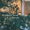 Christmas Trees in St. Albans, Hertfordshire — We Are St. Albans