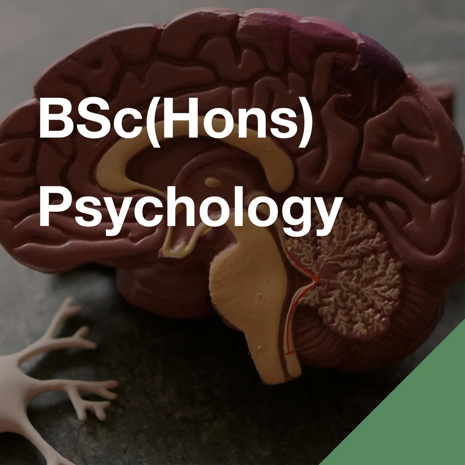 Our Degrees | USWSC - University Studies at West Suffolk College