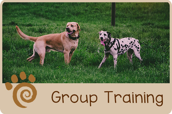 Positive Reinforcement Dog Training — The Dog Den | The Puppy Den