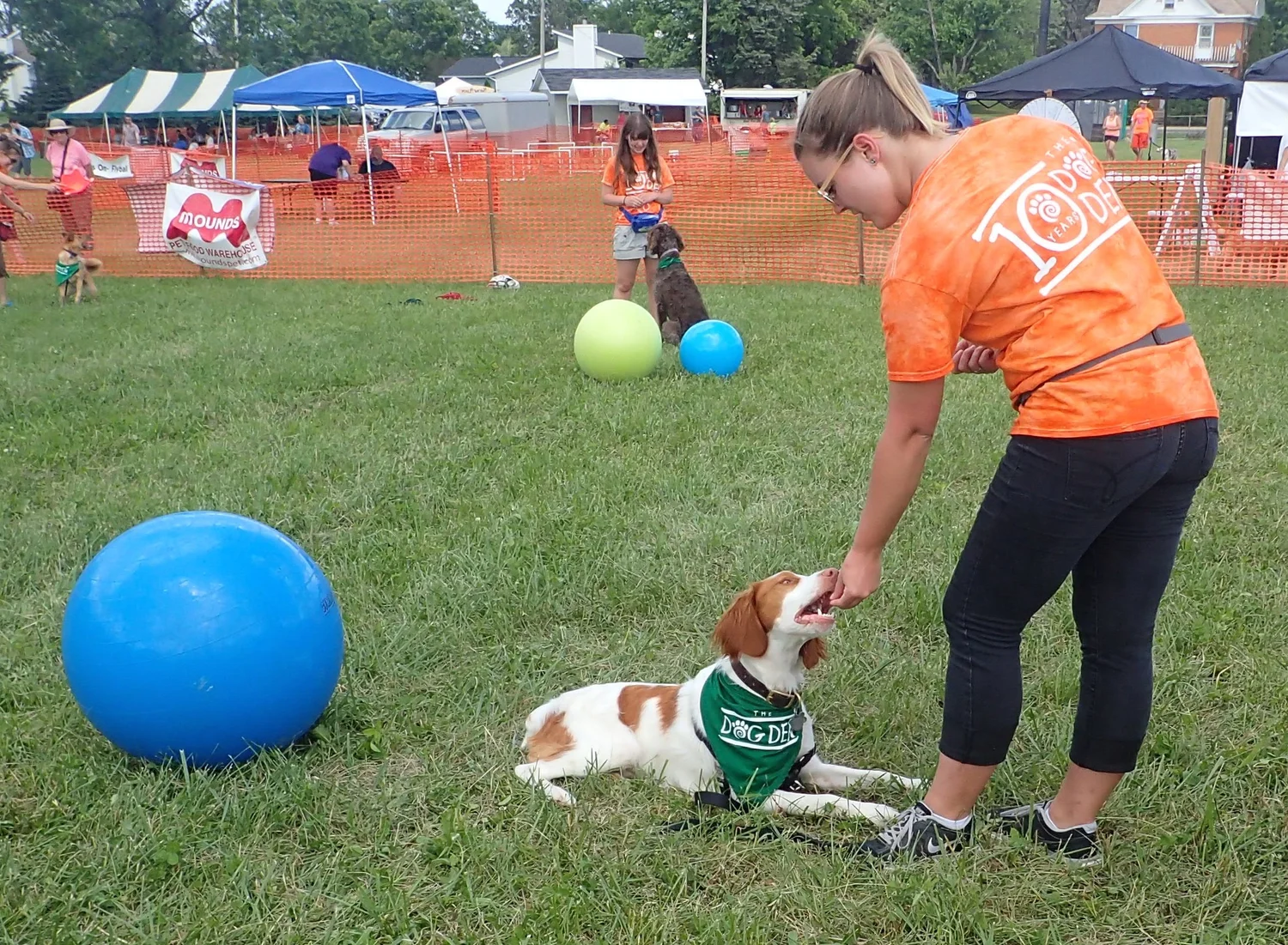 Enrichment Program — The Dog Den | The Puppy Den