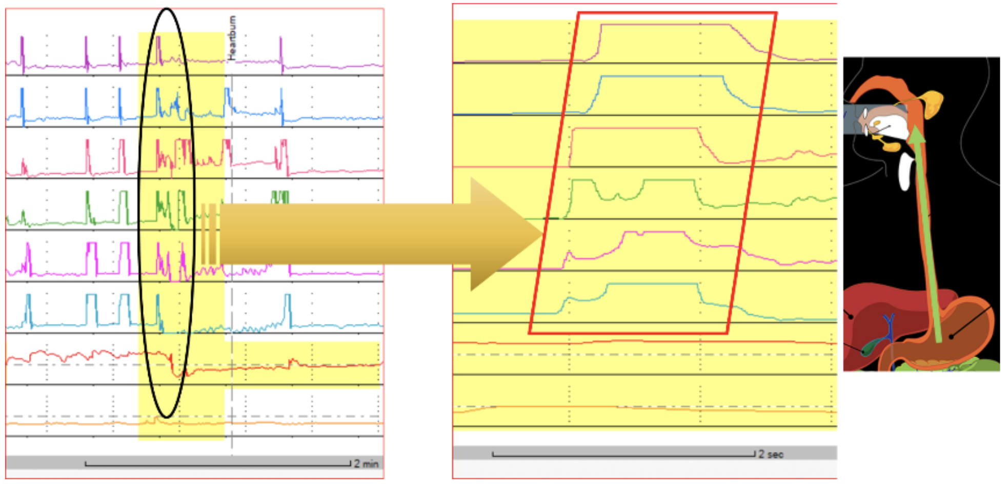 Special Breath Test Services