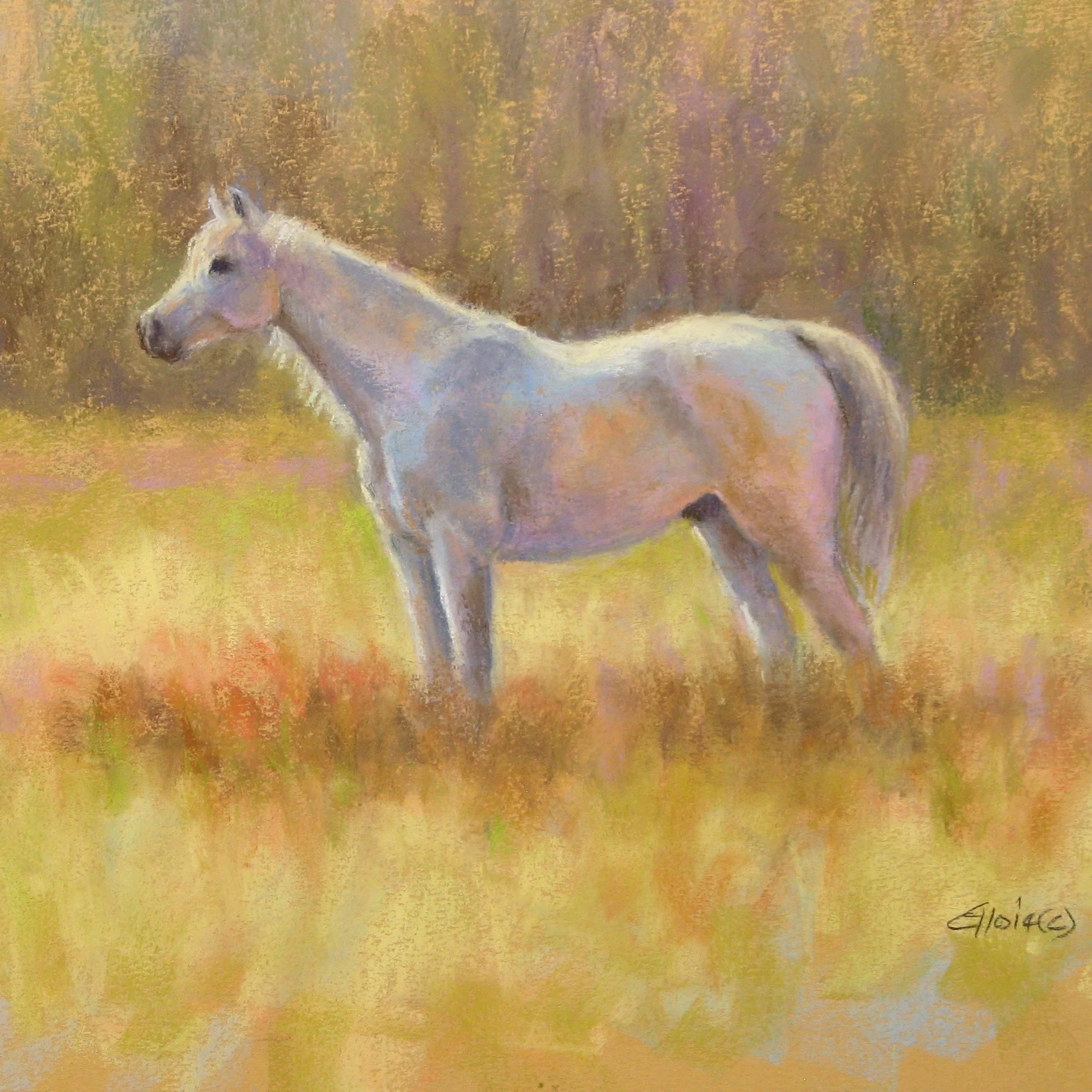 Artists — Artists Along the Bitterroot