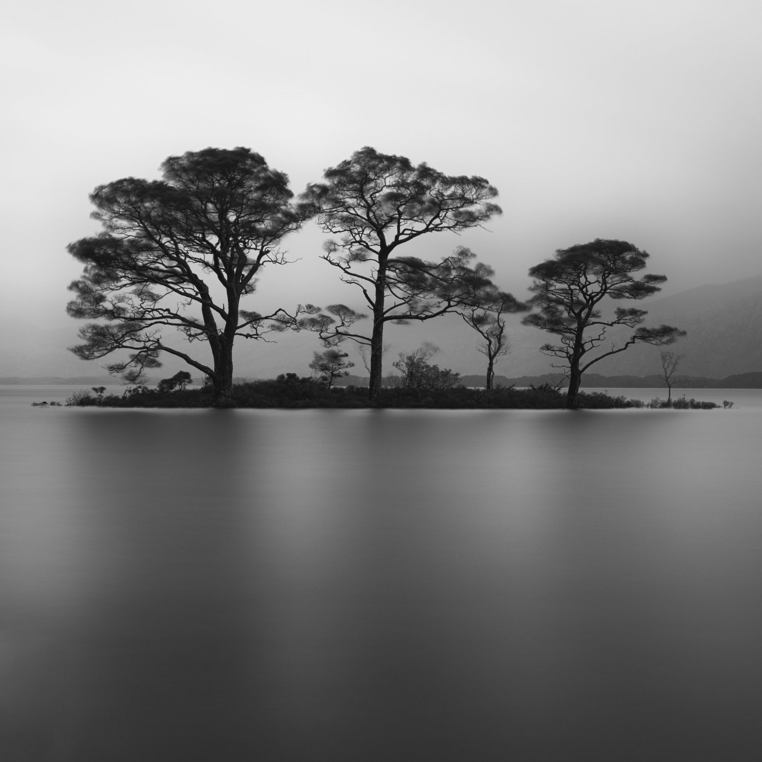 AAB Artists — Artists Along the Bitterroot
