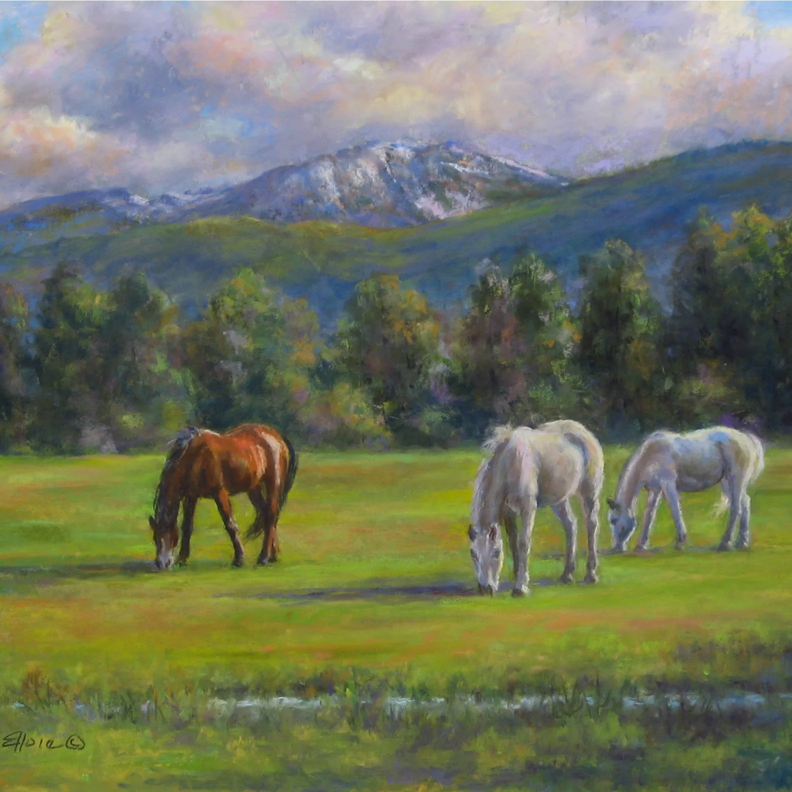 Elloie Jeter — Artists Along the Bitterroot