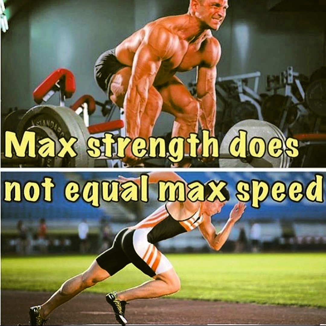 Wizard Speed Weights Studies And Research