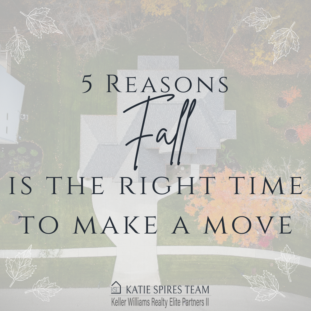 Our Blog — Katie Spires Team