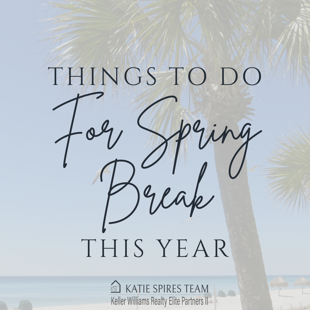 Our Blog — Katie Spires Team