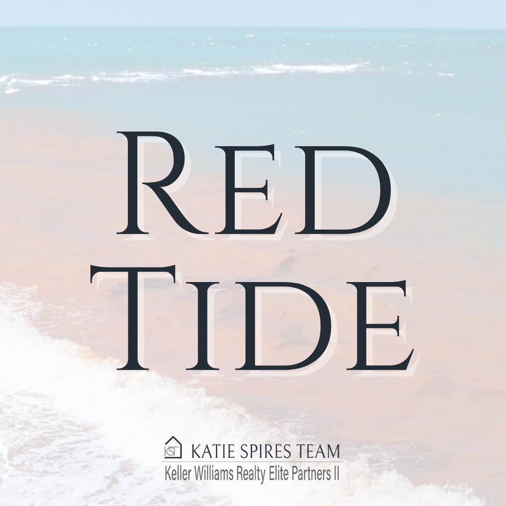Our Blog — Katie Spires Team