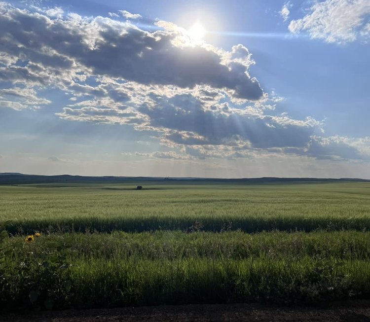 Dry-Redwater Regional Water Authority