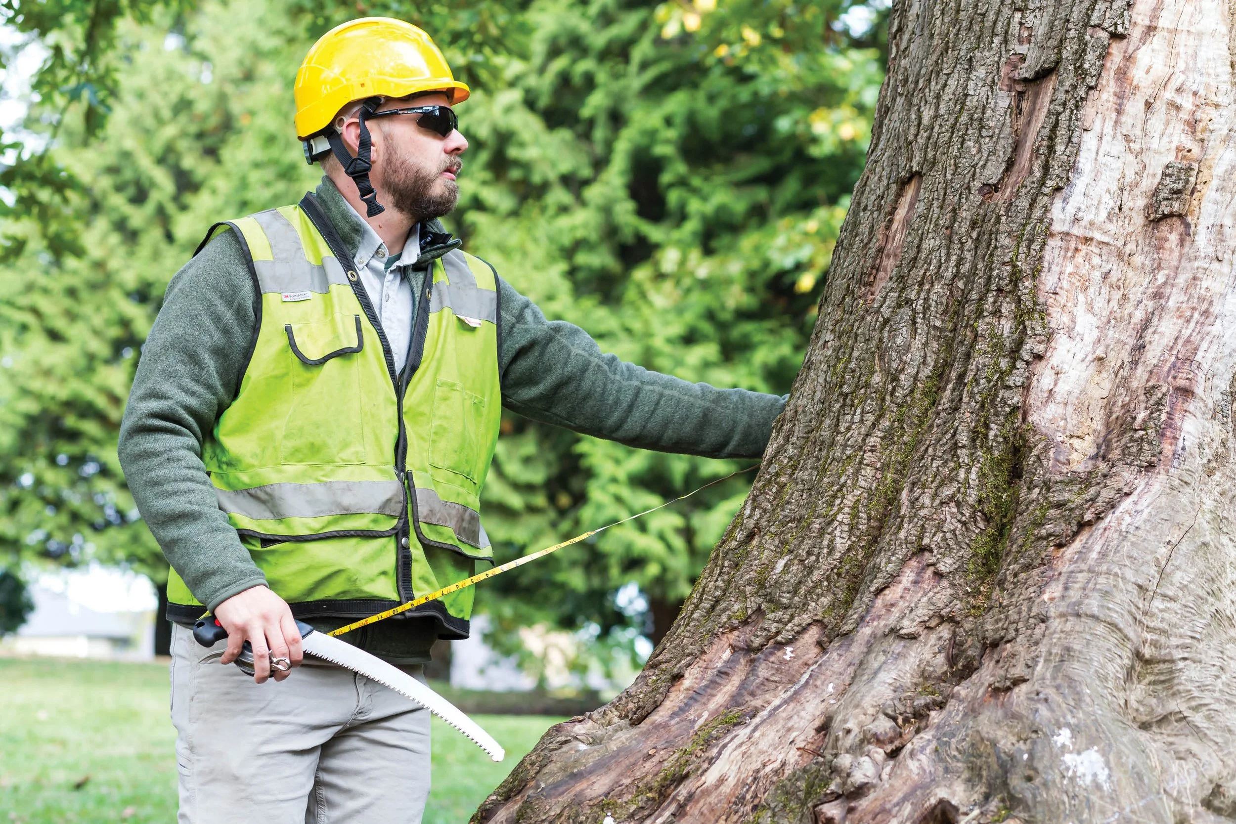 Tree Inventory — Pacific Consulting Arborists