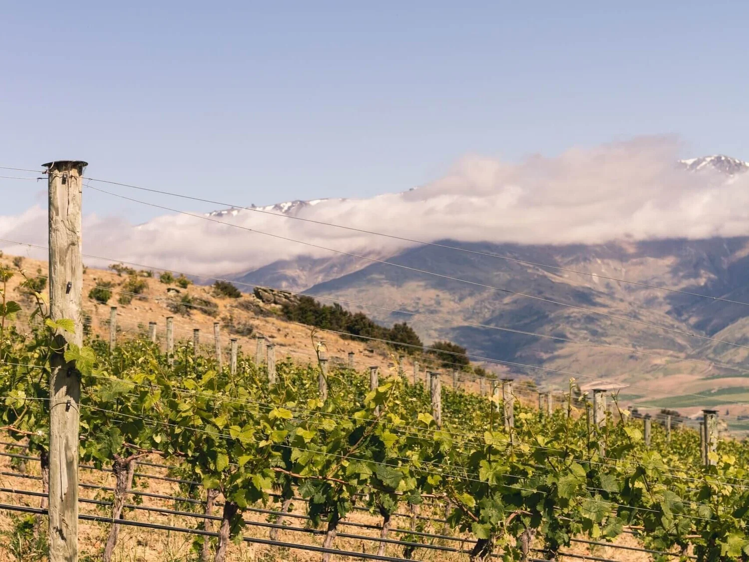 Discover Queenstown: Your Gateway to Adventure & Relaxation — Her Nomad ...
