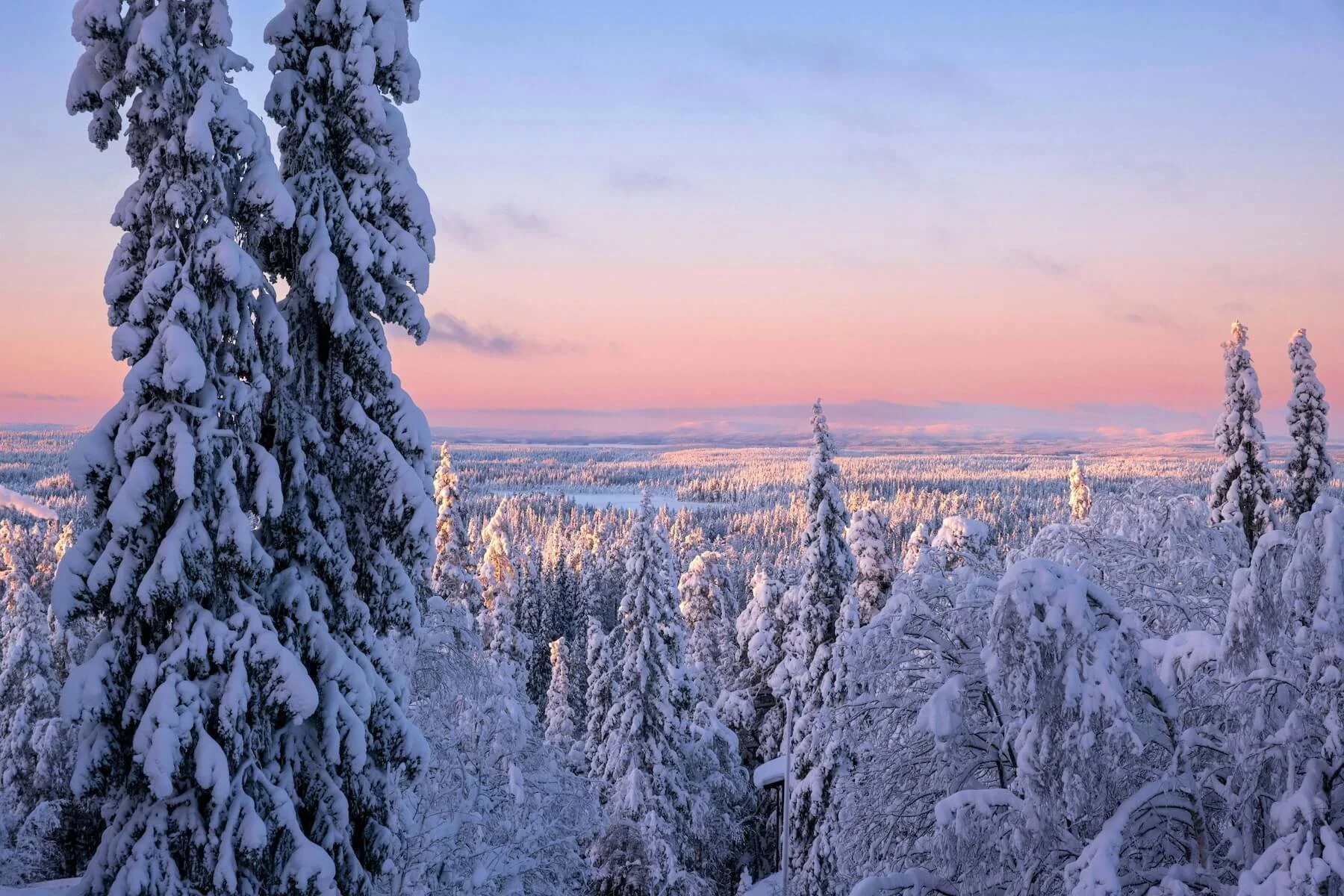 9 Dreamy Arctic Hotels for a Winter Escape: Luxury Stays & Northern ...