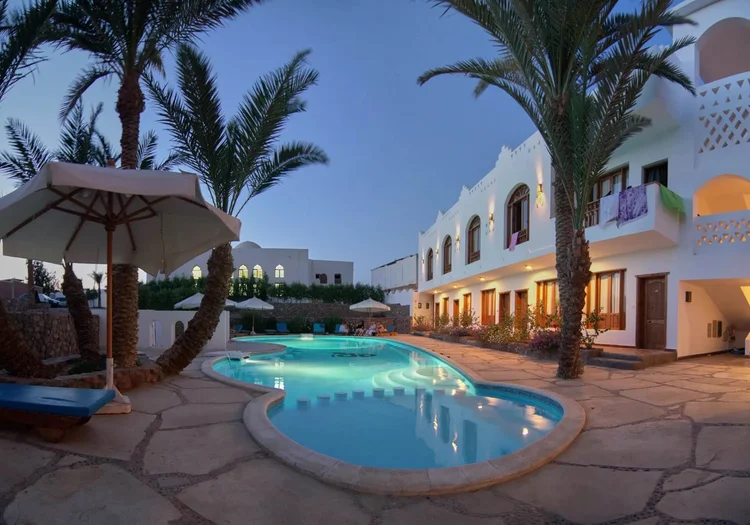 12 Best Hotels for Scuba Diving in the Red Sea: Top Dive Resorts in ...