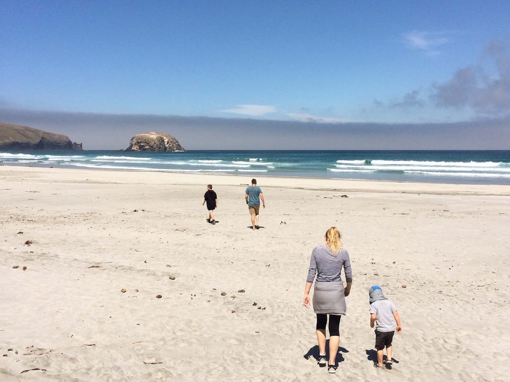 The Best Things To Do on the Otago Peninsula | Local’s Guide — Her ...