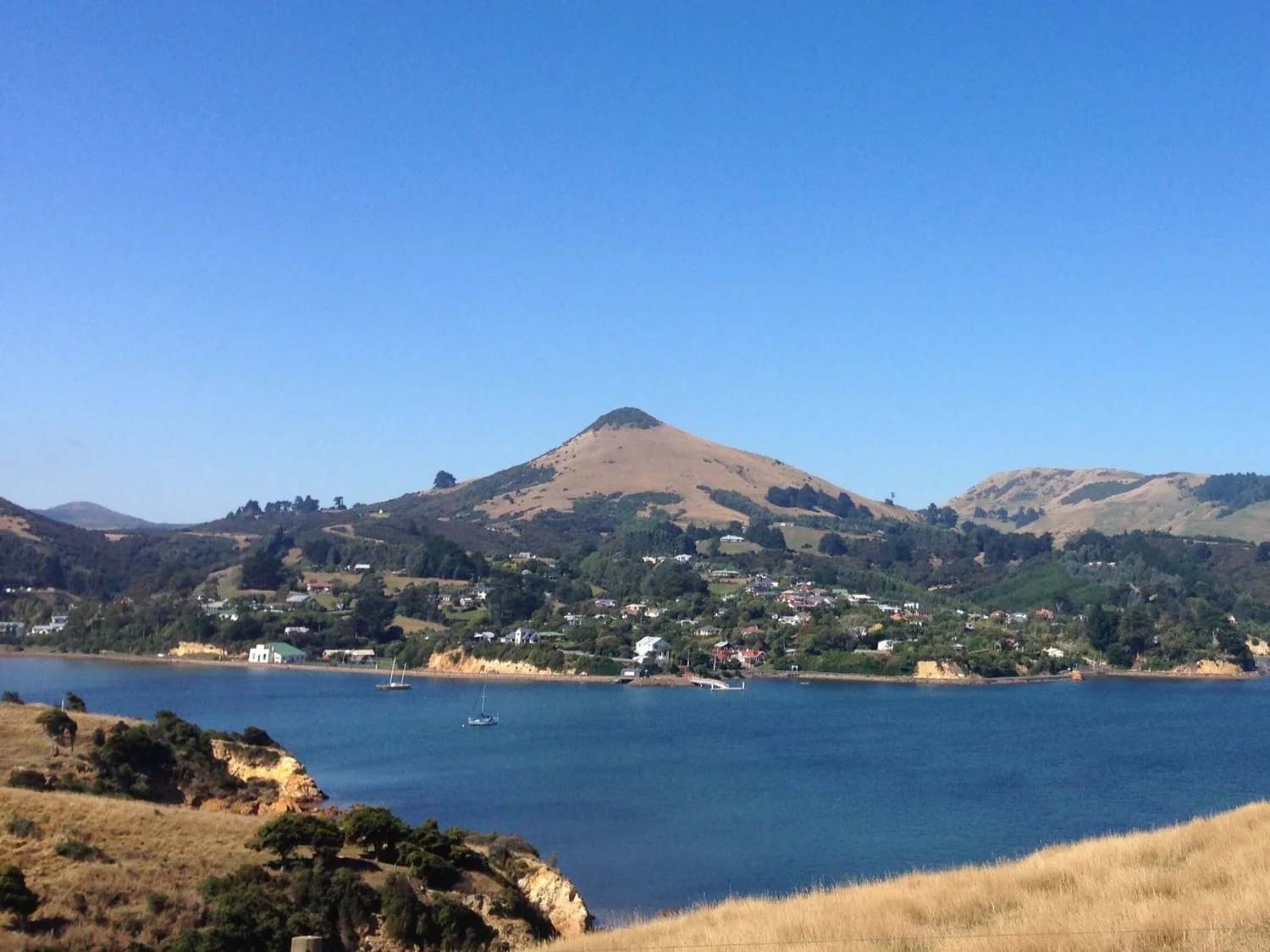 The Best Things To Do on the Otago Peninsula | Local’s Guide — Her ...