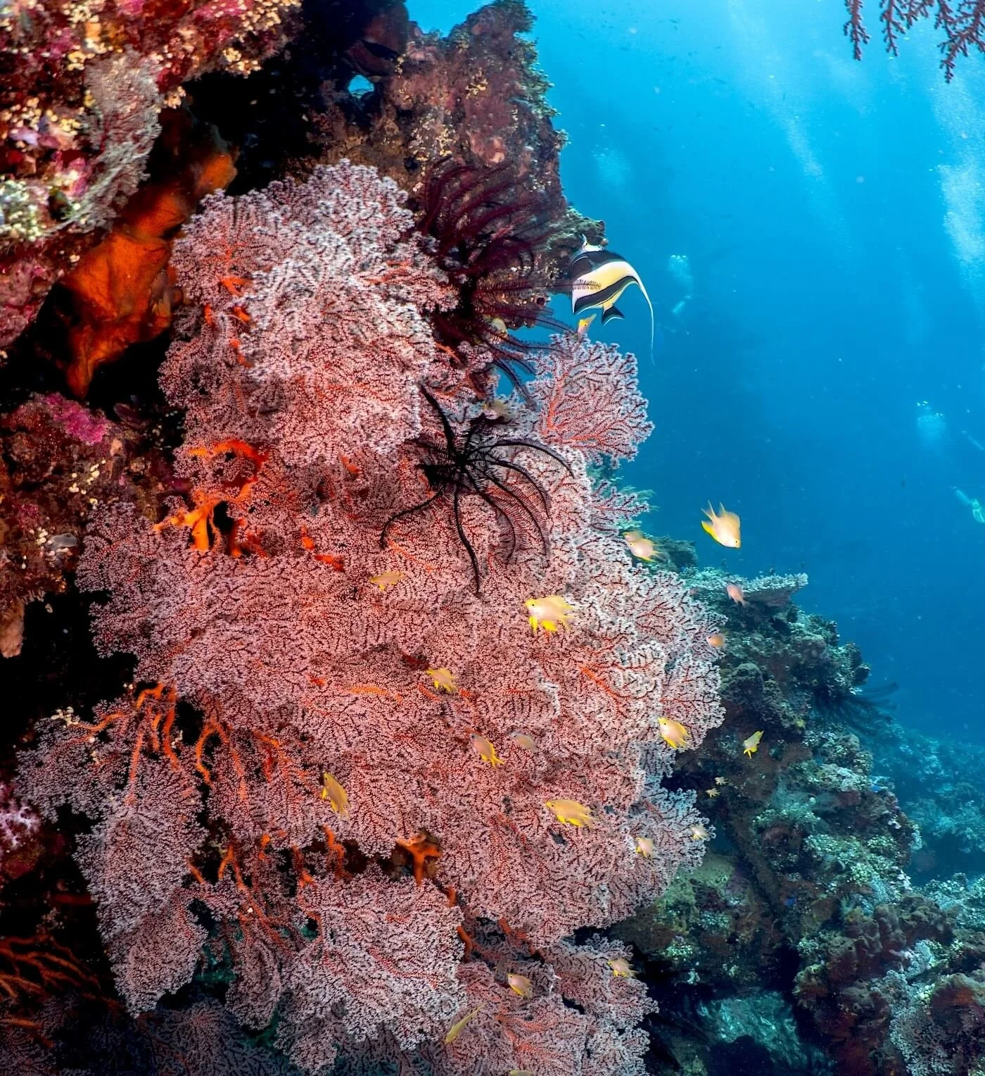 12 Epic Things to Do in Egypt That Aren’t the Pyramids (But Are Just as ...