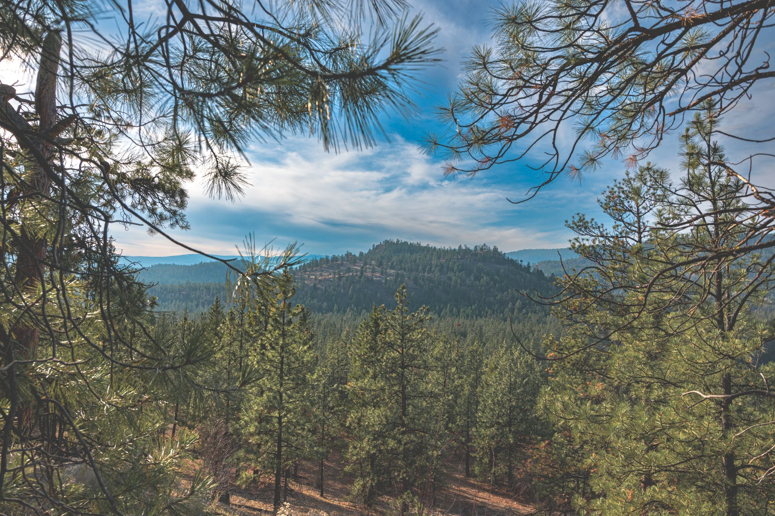 Heiko Wolfgang Ryll | Photographer, Guide & Educator