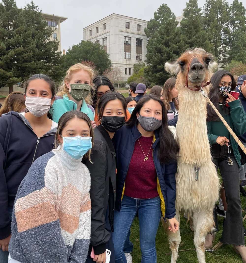 Team — Wolf Lab @ UC Berkeley