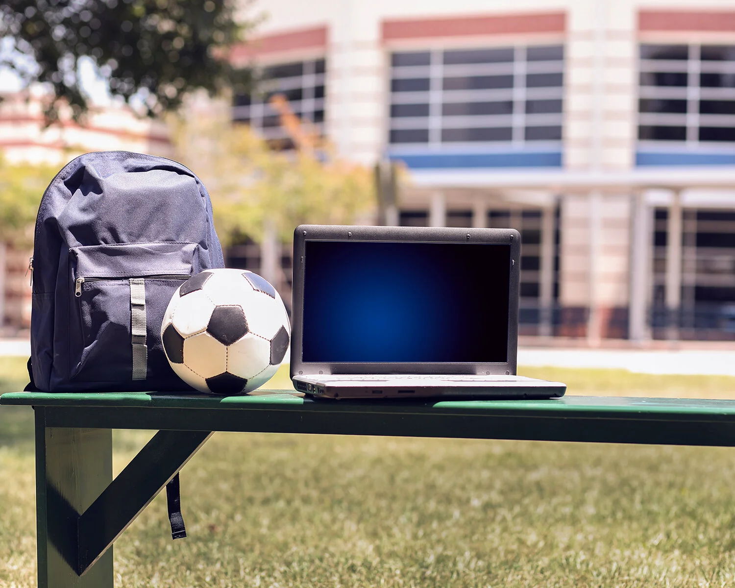 Client Work - Prevention Strategies — LeanForward