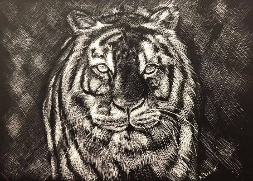 Portfolio — Darner Fine Art and Illustration, LLC